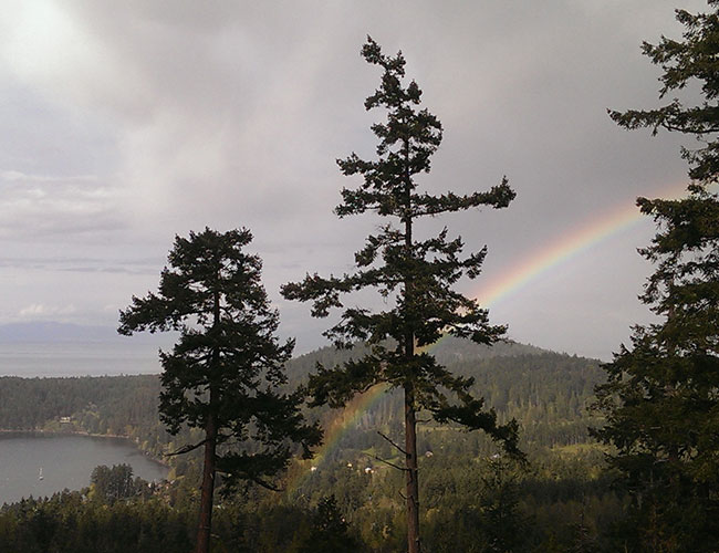 Browse Raffles - Raffle Nexus